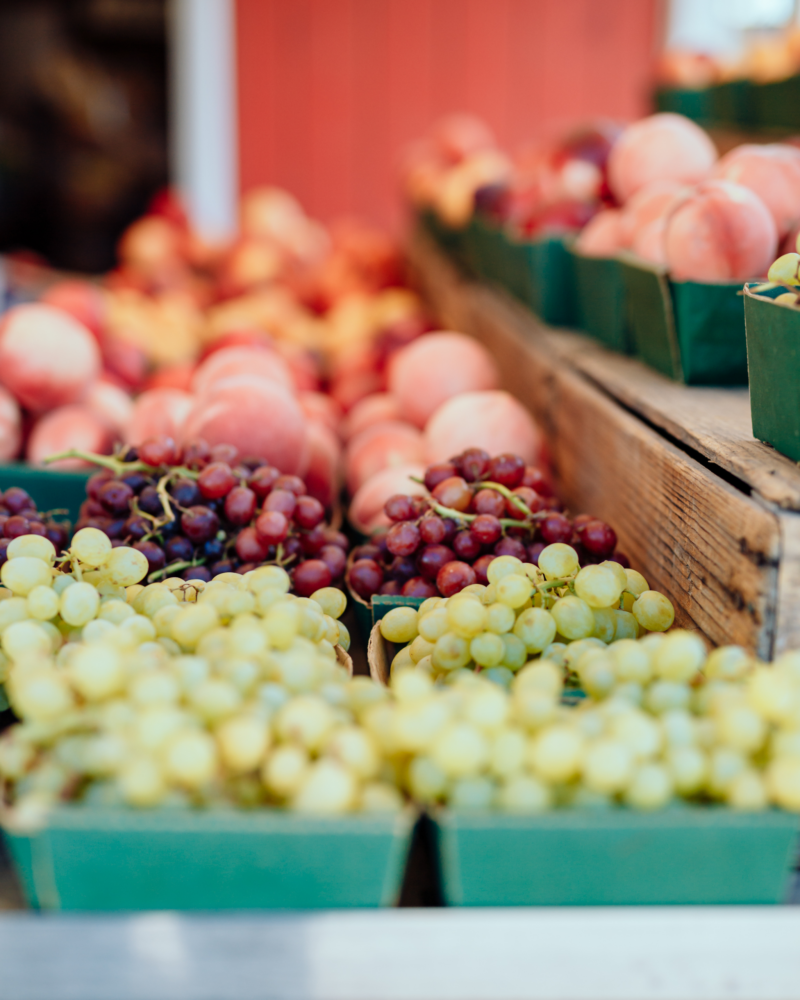 Fresh Stone Fruit Season in Modesto: Savor our Fresh Fruit